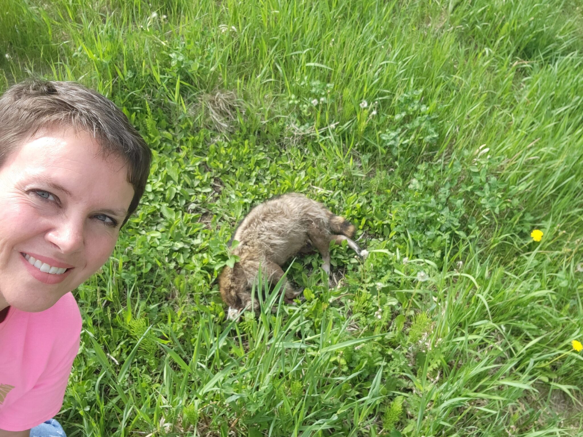 Our Beloved Turkey Vulture - Practical PetVet®